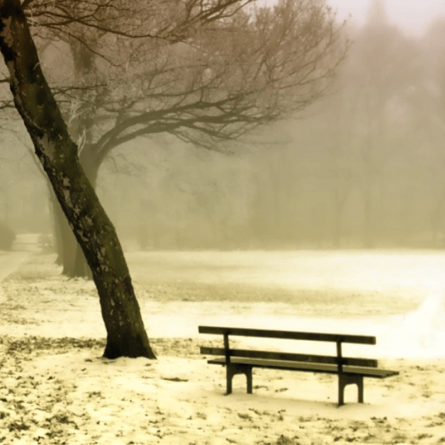 The Waiting ~ A Poem of Advent – Spirit Reflections