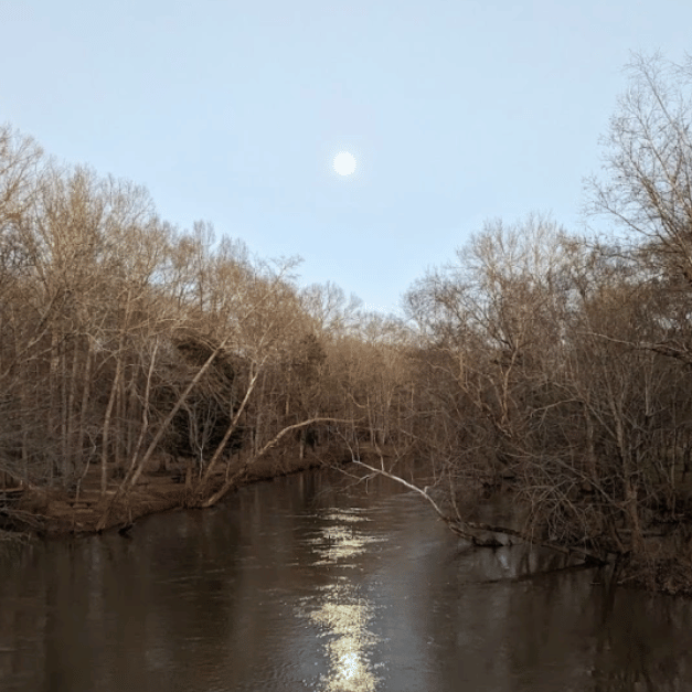 Sifting Ashes – Spirit Reflections